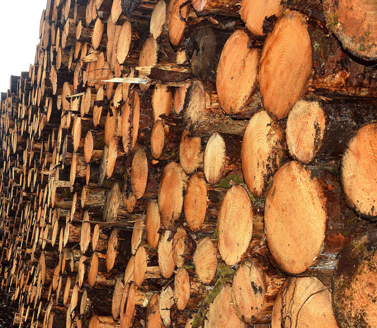 timber-3415637_1280 - svenskbyggtidning